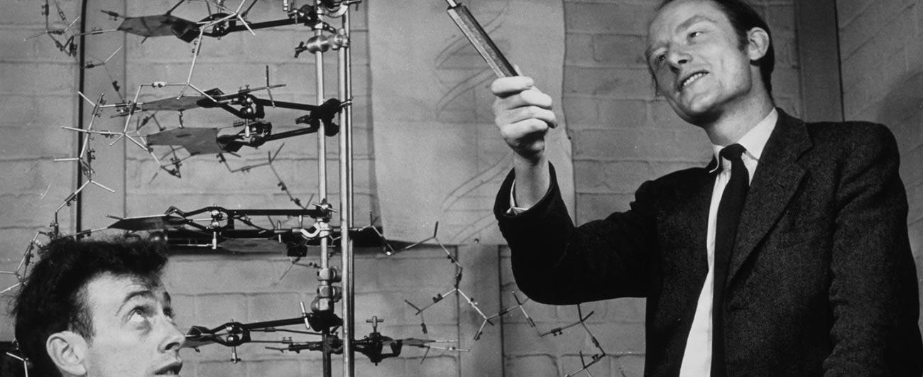 A 65 años del descubrimiento de la estructura del DNA | Foro Consultivo